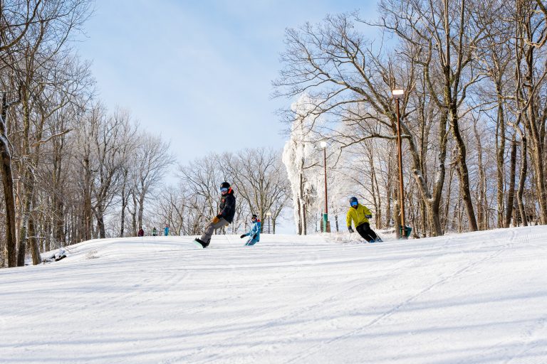 Mission Affordable 4-Pack - Wisp