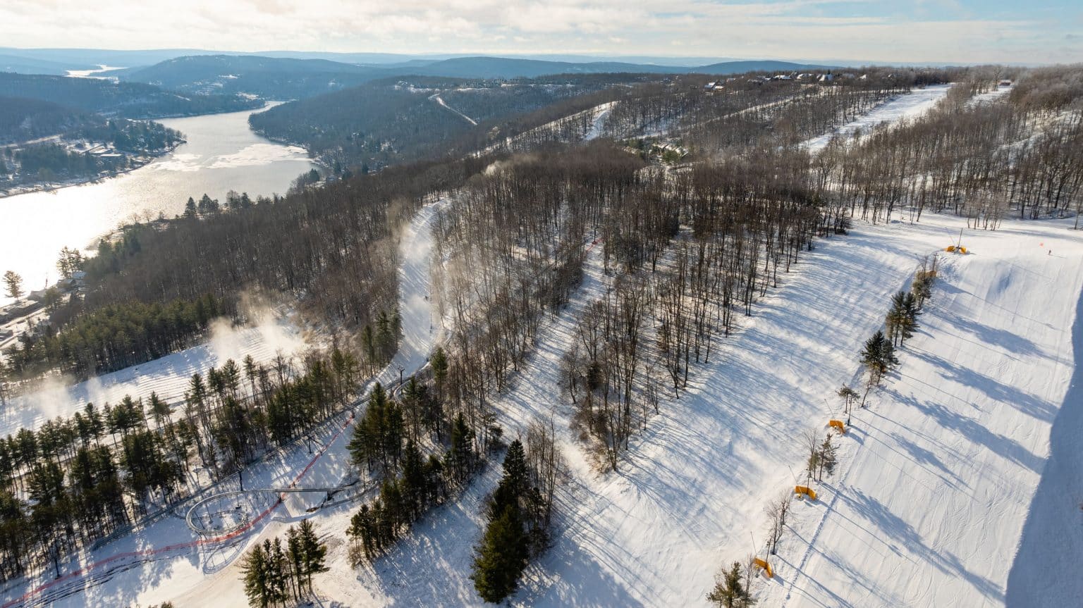 Mission Affordable 4-Pack - Wisp