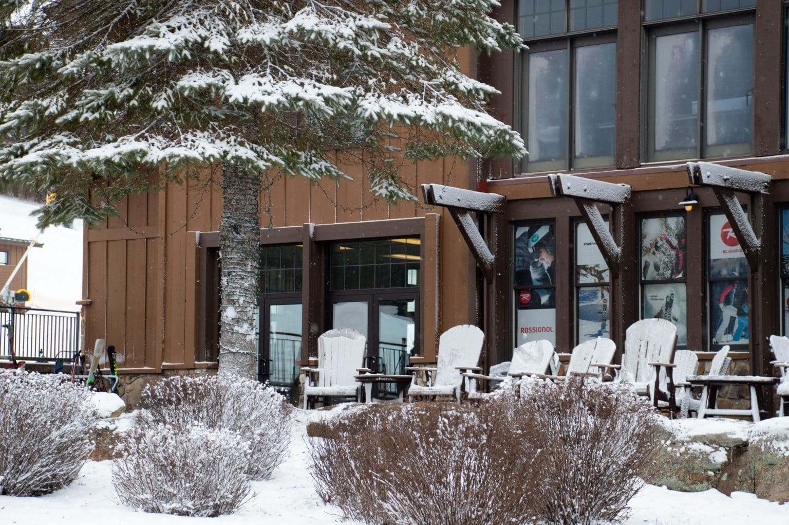 Mission Affordable 4-Pack - Wisp