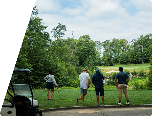 Golf Overview - Wisp