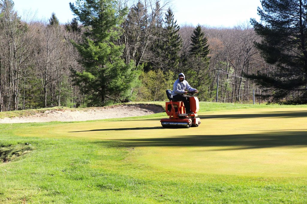 Summer's Creepin' In - Wisp