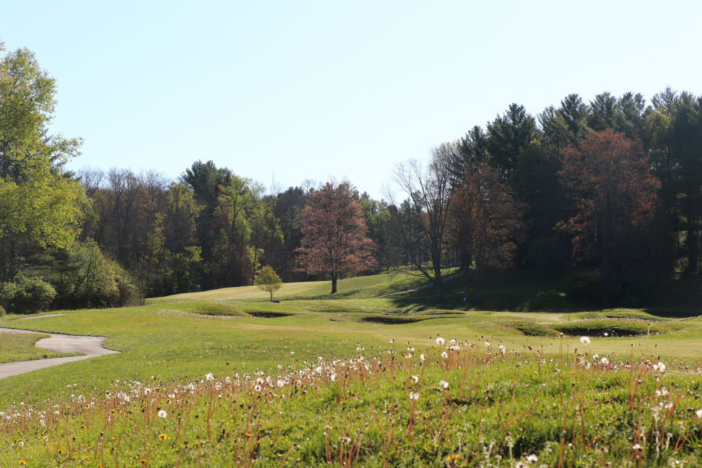 Summer's Creepin' In - Wisp