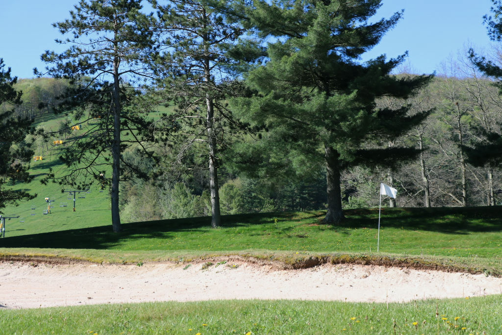 Summer's Creepin' In - Wisp